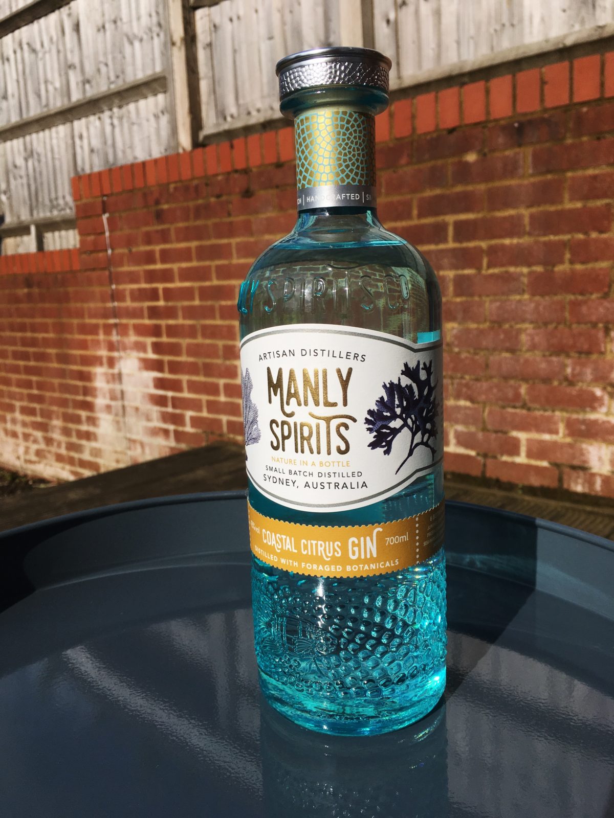 Manly Spirits Coastal Citrus Gin | Jenny in Brighton