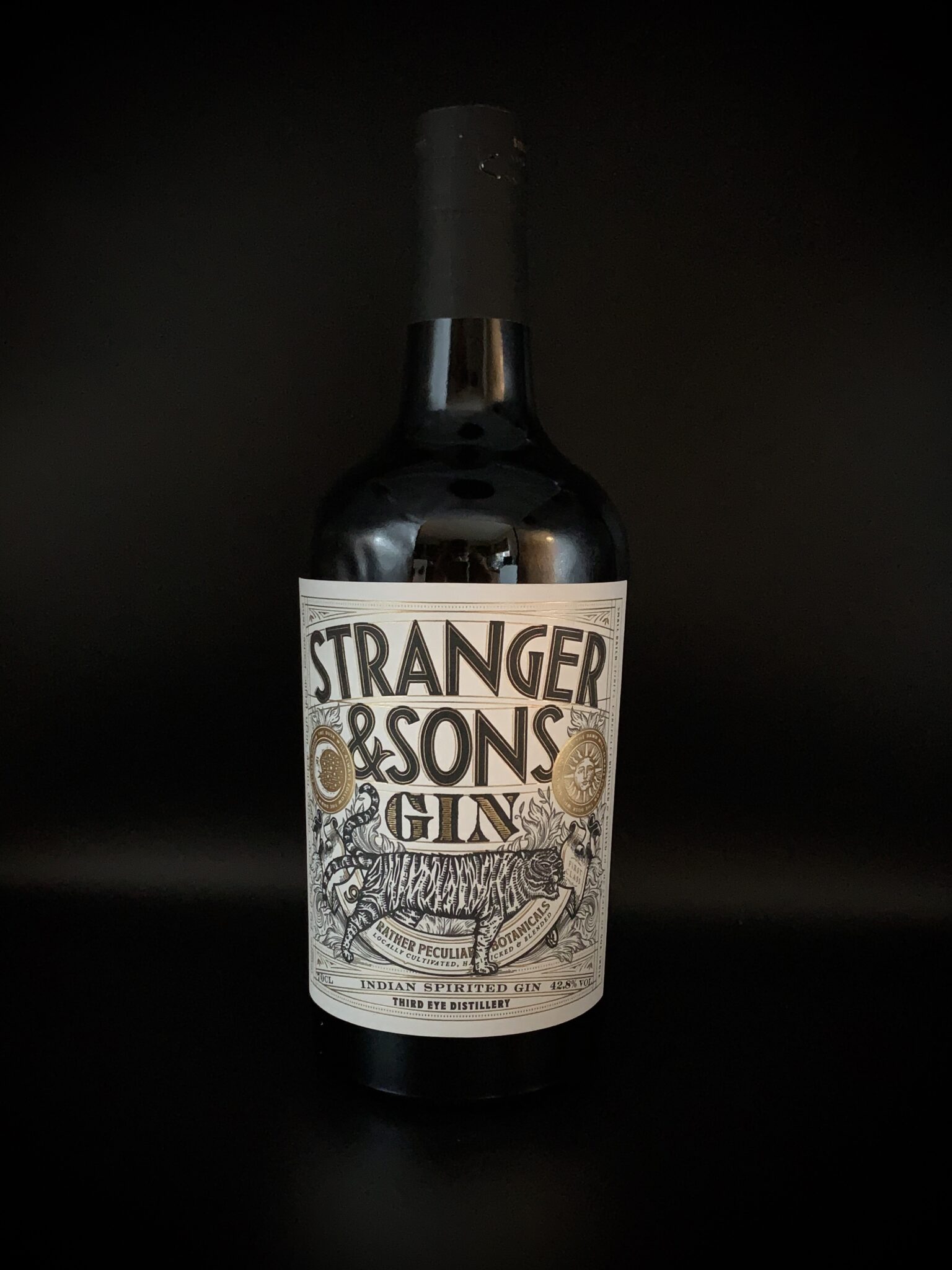 stranger and sons gin | Jenny in Brighton